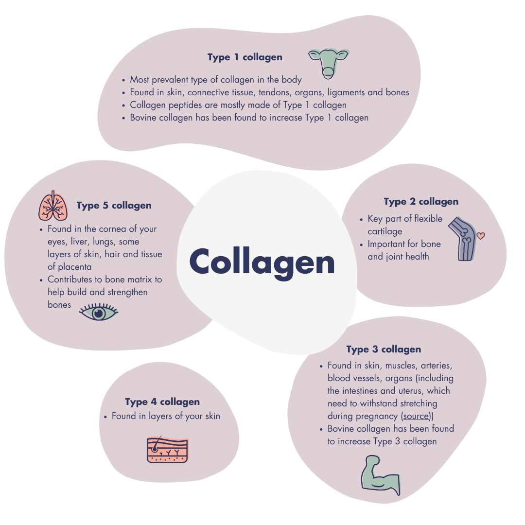 Best Collagen for Women – FullWell