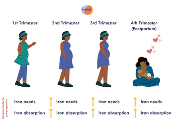 Iron Needs Through The Stages (Preconception, Pregnancy Trimesters & P ...