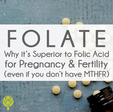 Folate and Folic Acid for a Healthy Pregnancy – FullWell