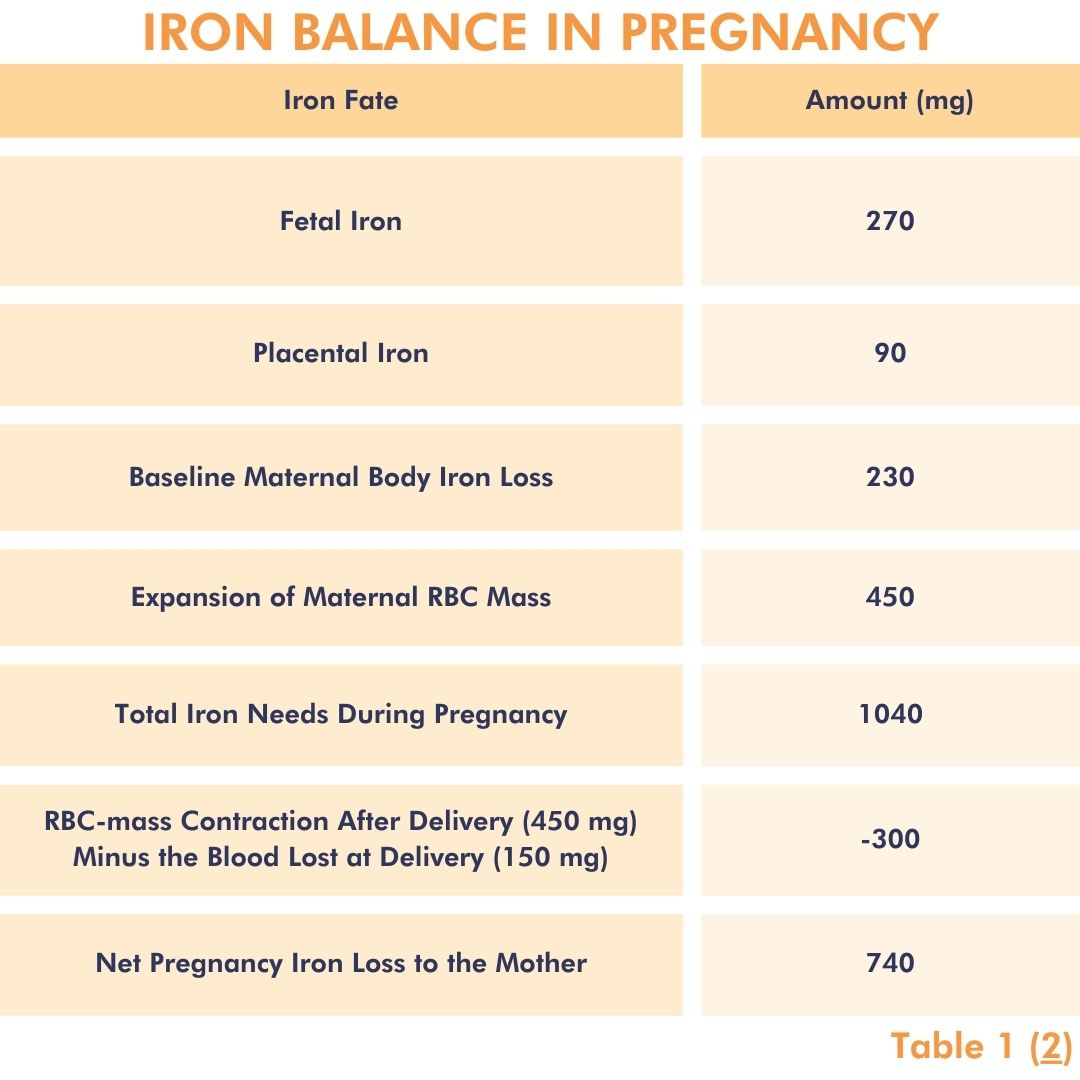 Iron Needs Through The Stages (Preconception, Pregnancy Trimesters & P ...