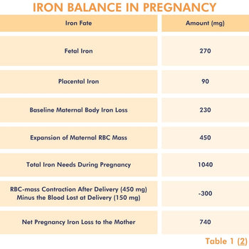 Iron Needs Through The Stages (Preconception, Pregnancy Trimesters & P ...