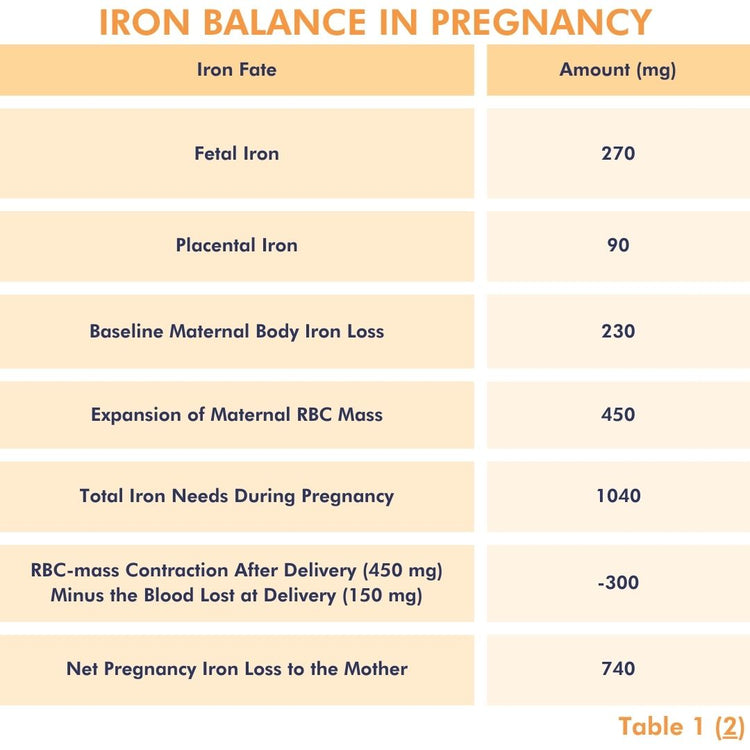 Iron Needs Through The Stages (Preconception, Pregnancy Trimesters & P ...